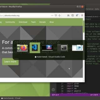 Download Ubuntu Mate 20.04 LTS - Ubuntu Free