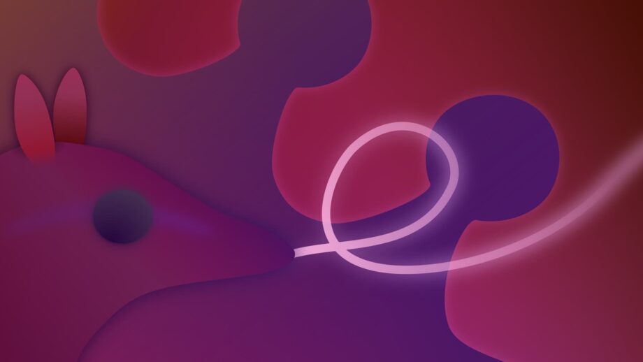 Ubuntu 24.04 LTS Wallpapers: Free Downloads for Desktop & Mobile ...